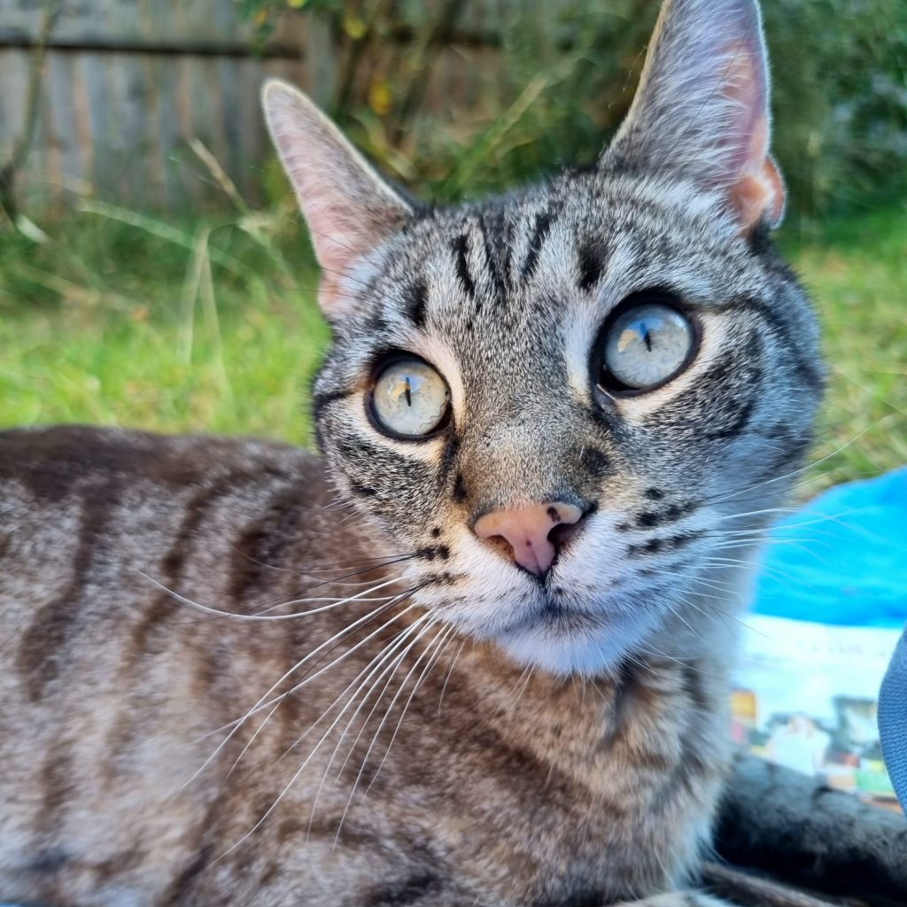 Webcurios 13/01/23 – webcurios